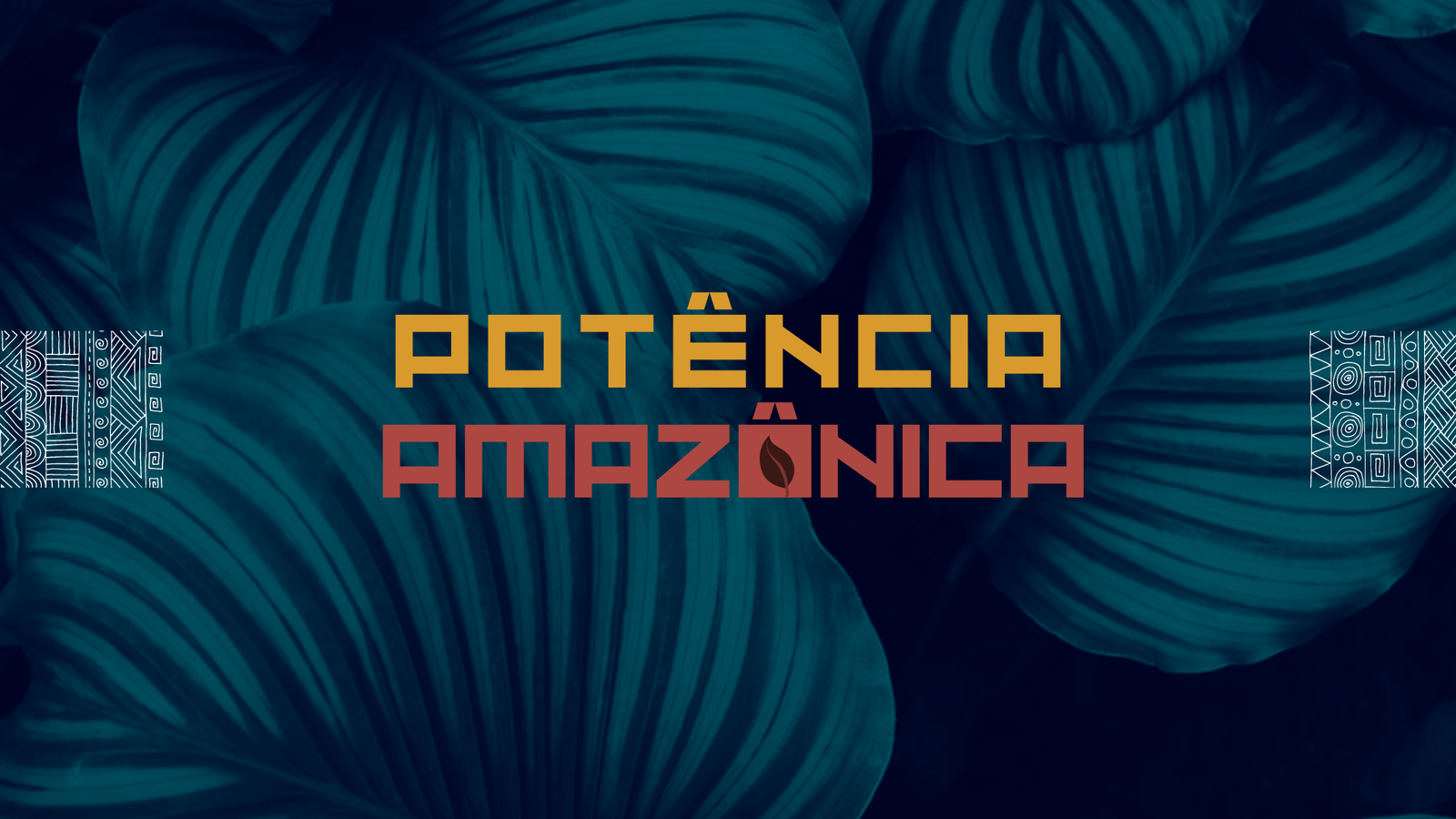 Wylinka e Invest Amazônia lançam série que mostra o potencial da ...